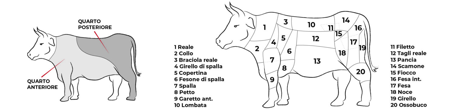 Tagli di carne: quali sono e come riconoscerli | Gastrodomus