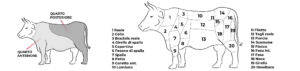 Tagli di carne: quali sono e come riconoscerli | Gastrodomus